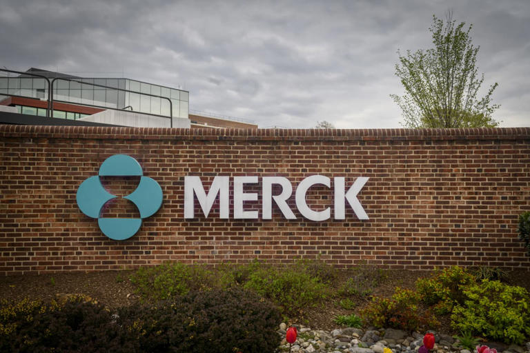 Merck stock gains as earnings top estimates. 'Momentum is building ...