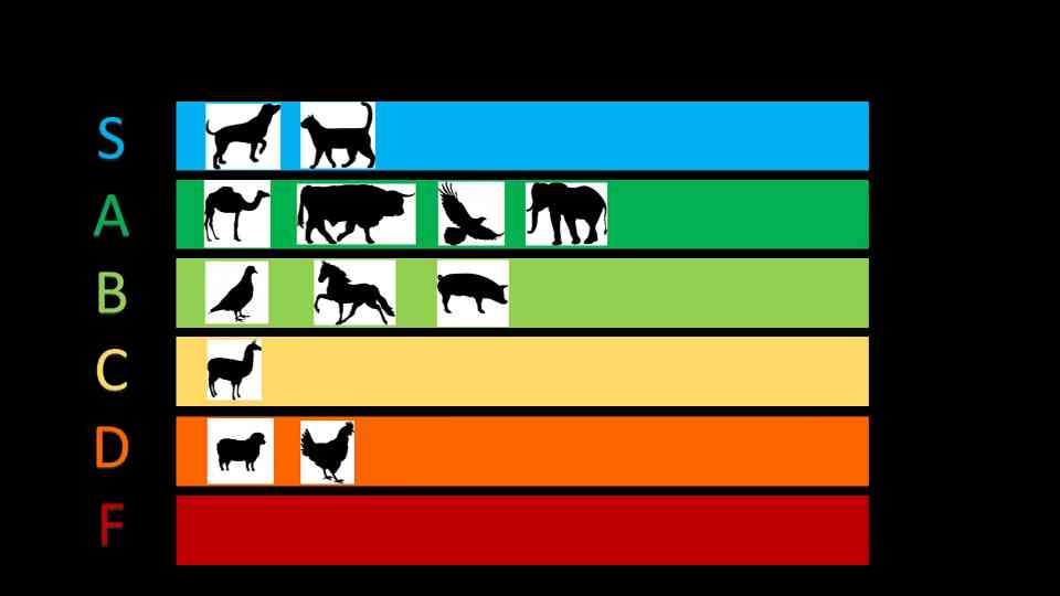What if humans were nerfed - ranking the animals that would replace us fast
