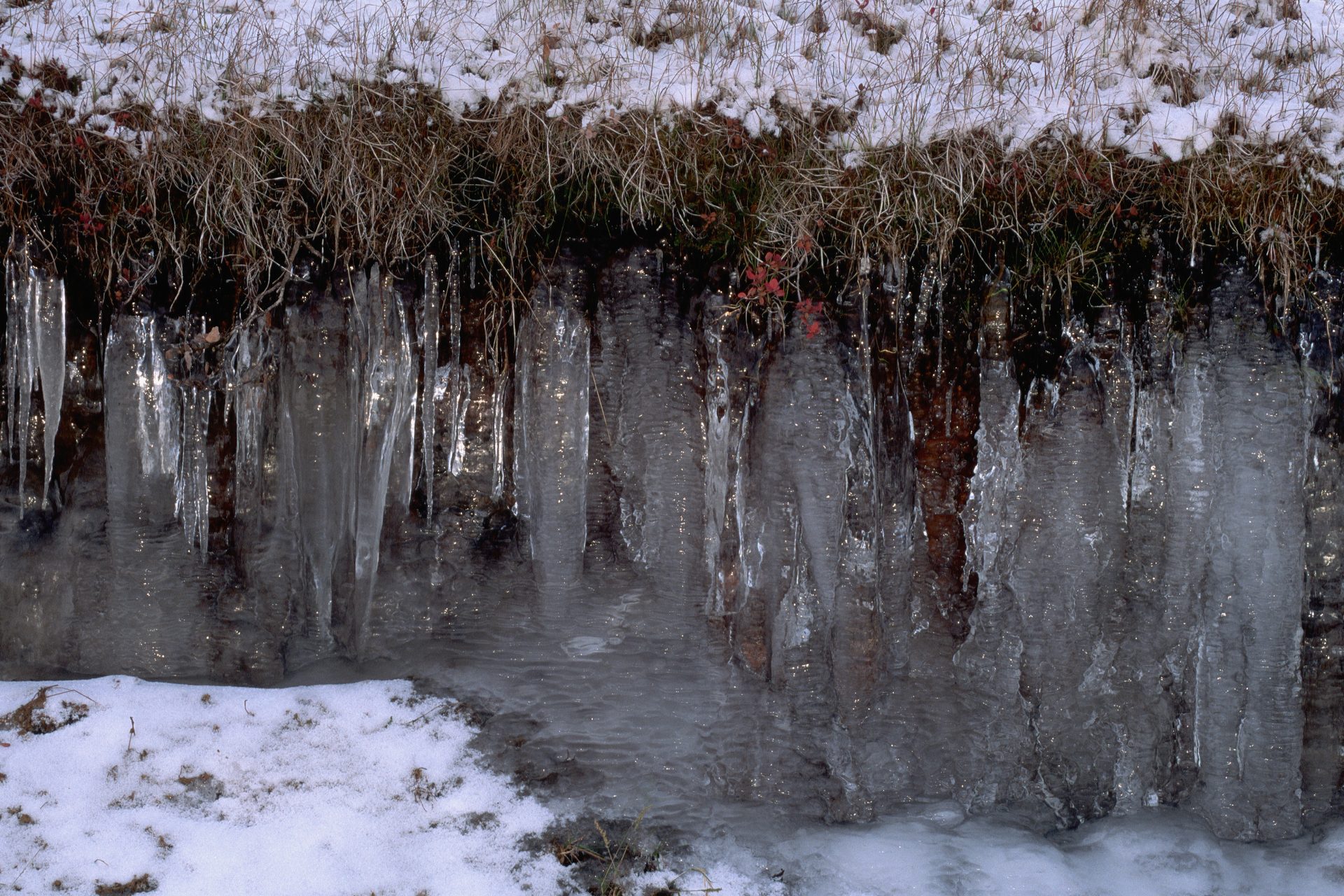 Ice Age virus brought back to life, researchers report