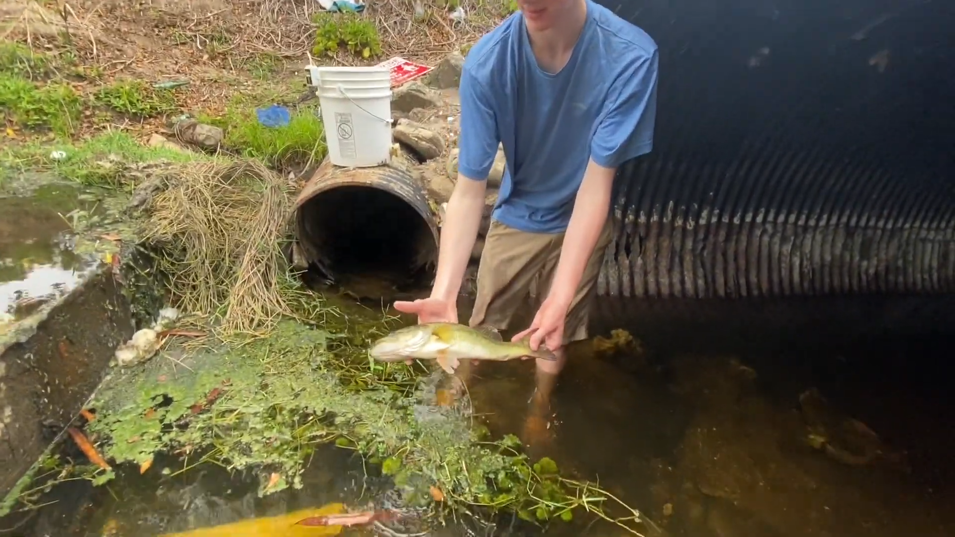 I stocked a hidden tunnel pond with hundreds of fish and it felt illegal