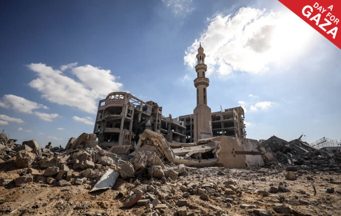 What happens to the educators when the schools have been destroyed?
