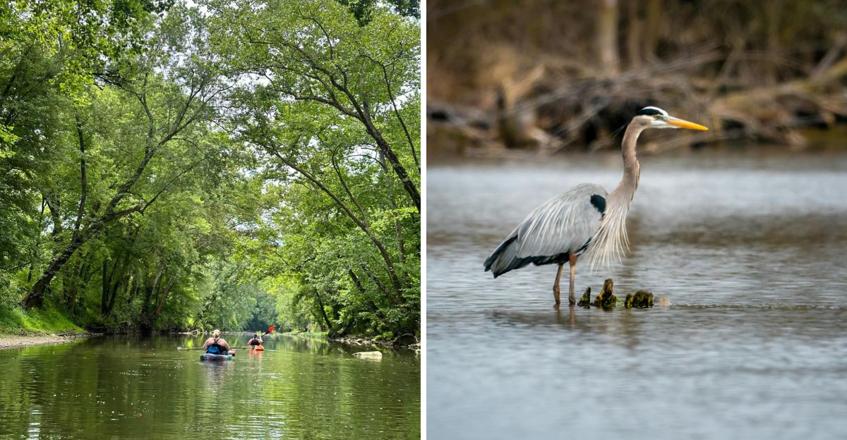 This Indiana river trail is a favorite for kayaking and wildlife spotting