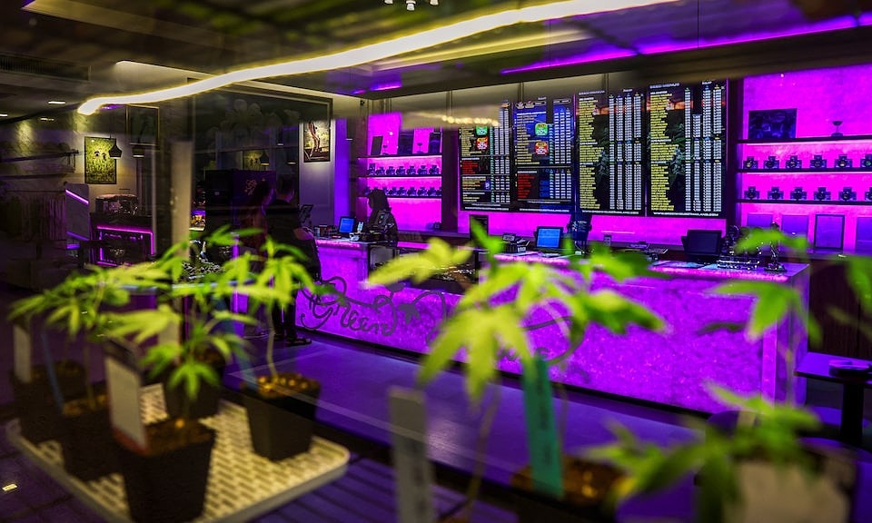 Over 7,000 cannabis shops shut as tighter laws reshape Thailand's ...