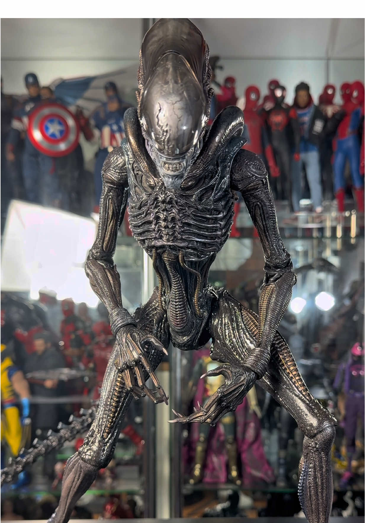 Hot Toys scorched Xenomorph ASMR close-up showcase