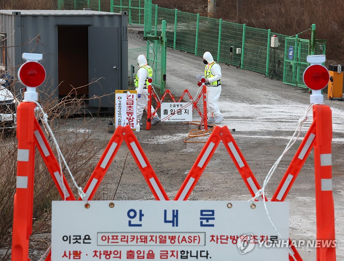(Lead) Gov't confirms 6th African swine fever case as virus spreads ...