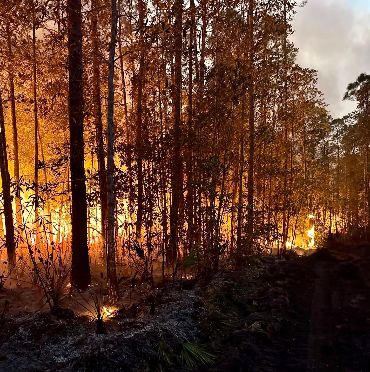 FHP warns drivers of wildfire in US 1, Cemetery Road area near Bunnell
