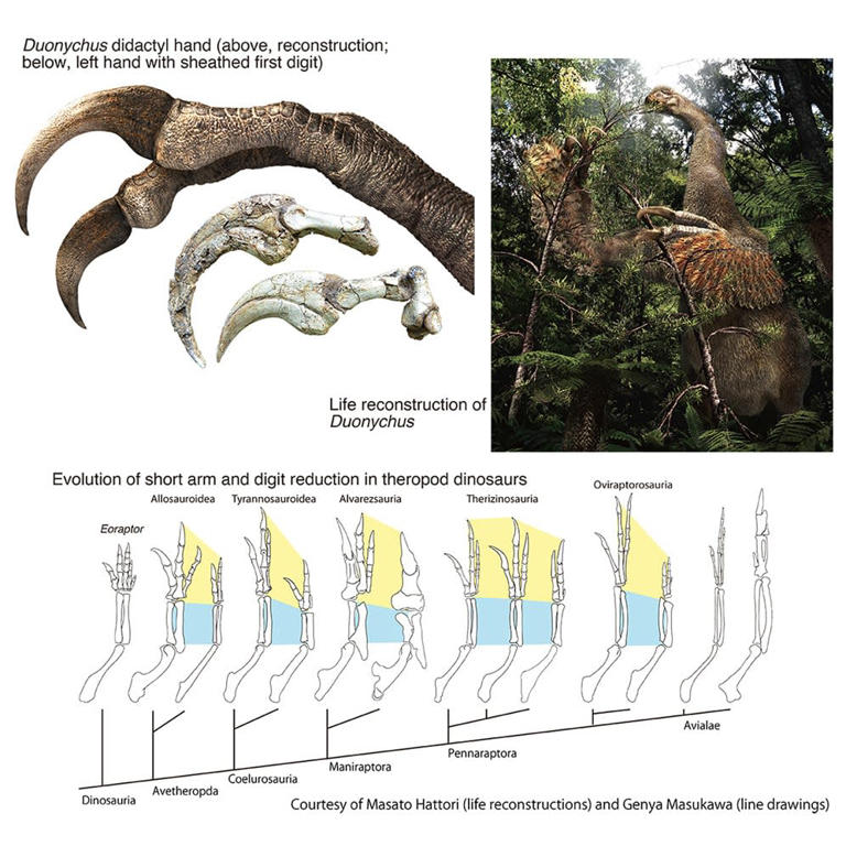 Scientists just discovered a dinosaur with 12-inch Freddy Krueger claws ...
