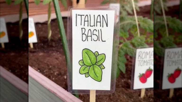 10 DIY garden sign ideas to add whimsy to your yard