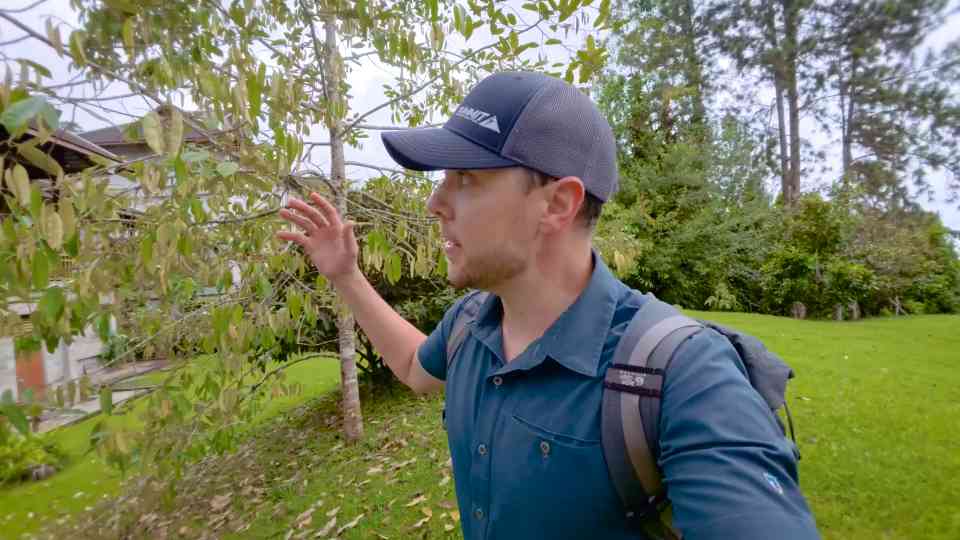 Mark Vins discovers a cobra infestation in an abandoned hotel