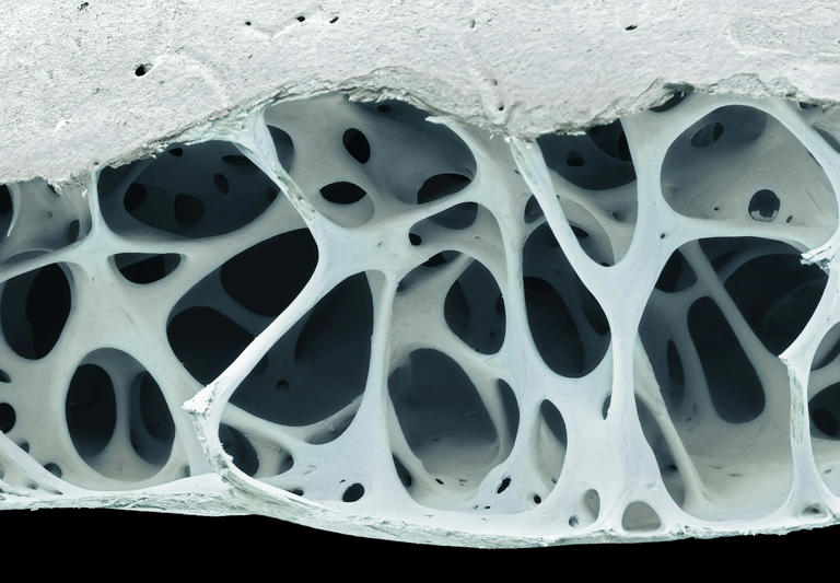 Building with air – how nature’s hole-filled blueprints shape manufacturing