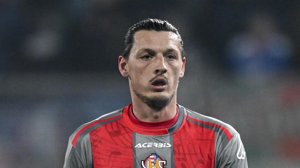 Com'è cambiata la Cremonese dopo il calciomercato di gennaio: tutti i ...