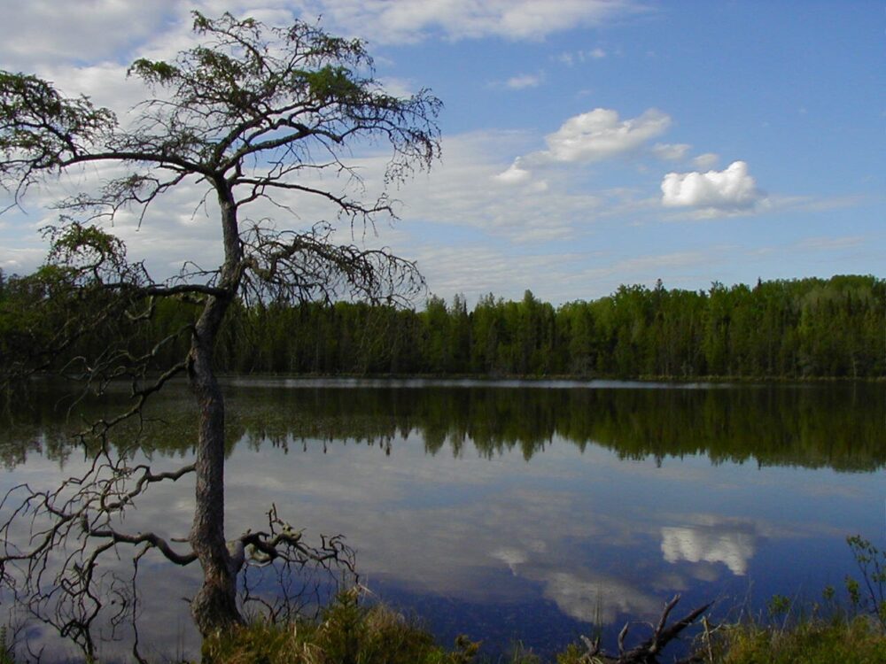 15 Minnesota lake parks that turn a quick outing into a mini-vacation