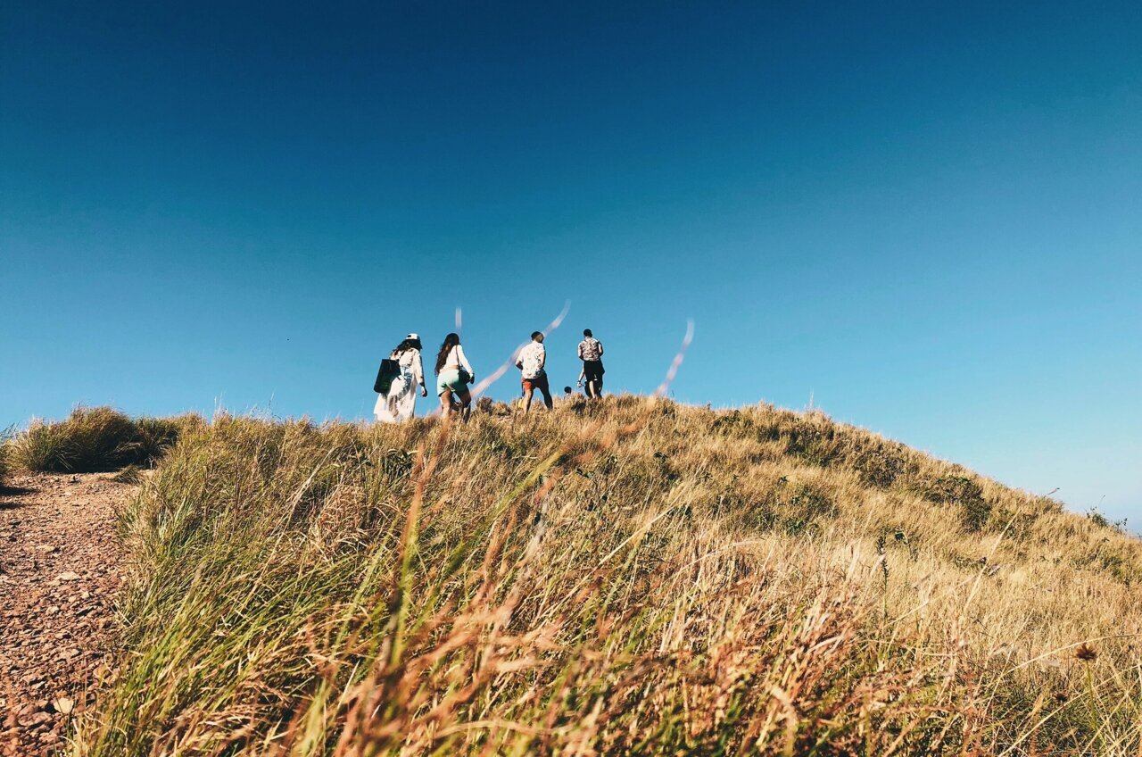 From leadership to influencers: New study shows why we choose to follow ...