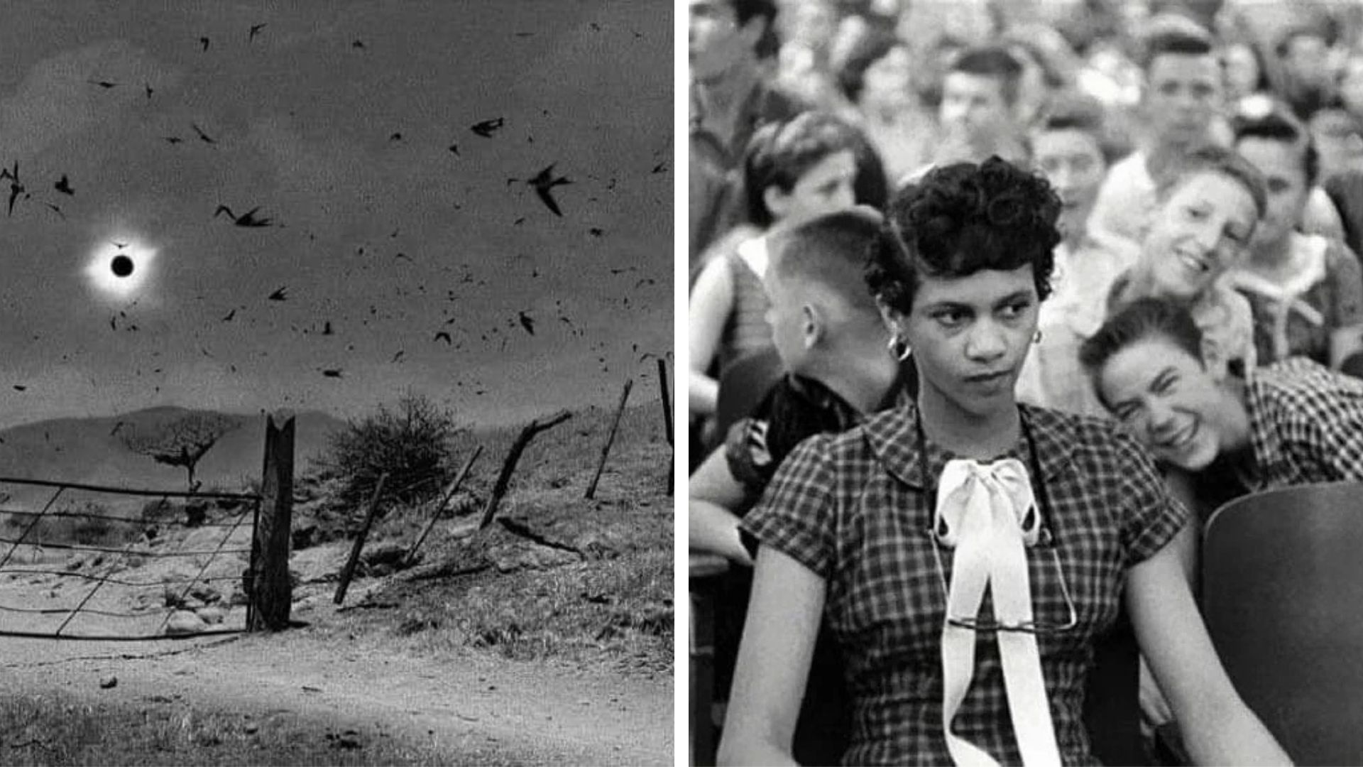 30 unusual historical photos and the stories behind them