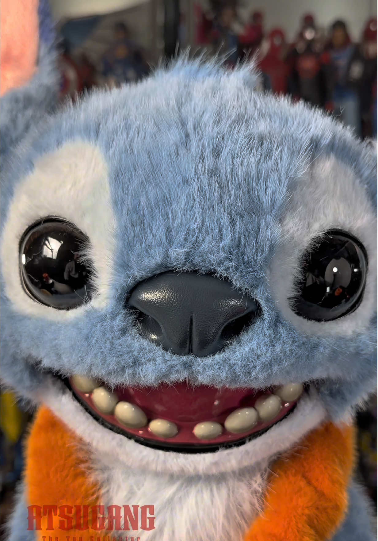 Hot Toys Stitch ASMR unboxing and close-up
