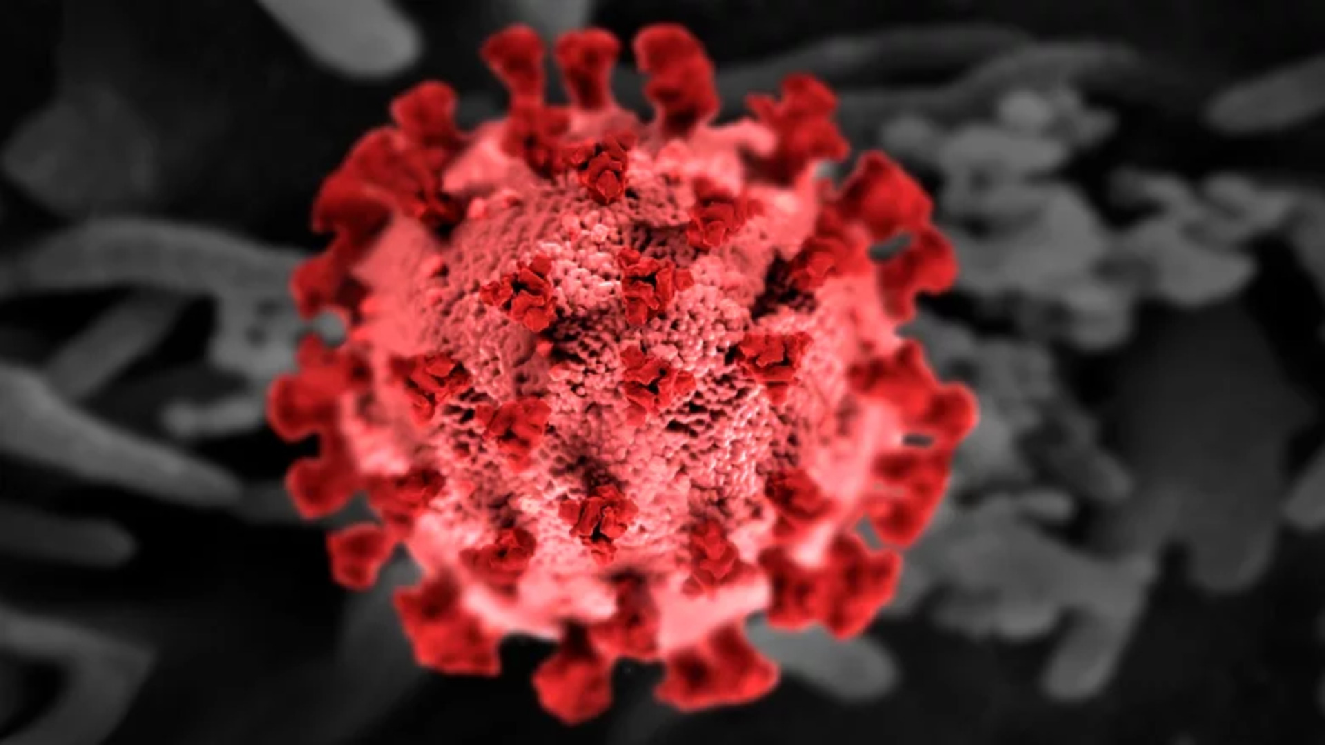 The unsettling record of viruses escaping research labs - All For One