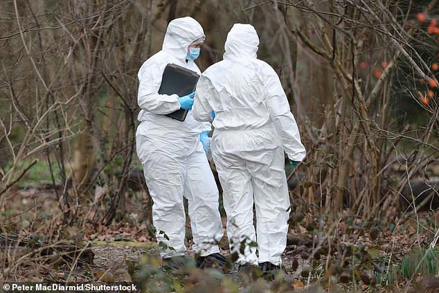 Family of schoolboy, 15, stabbed to death in woodland thank bystanders ...