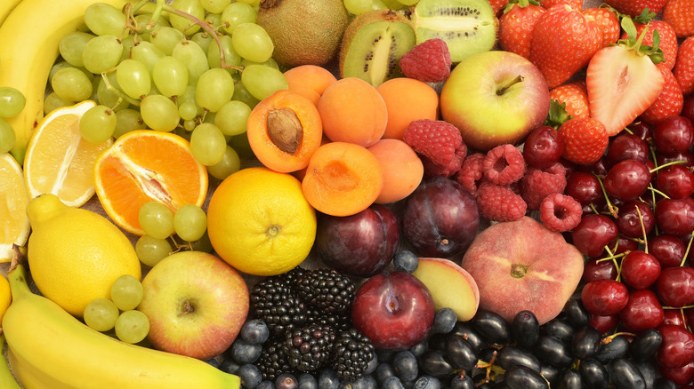 What fruit has the highest amount of protein?