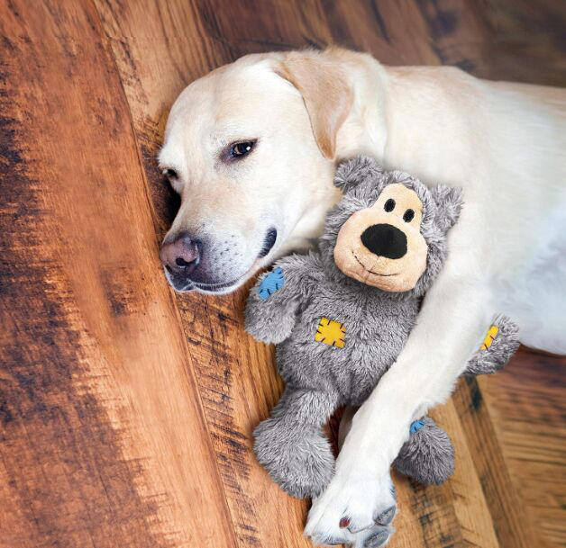 Here’s why your dog has a favorite toy