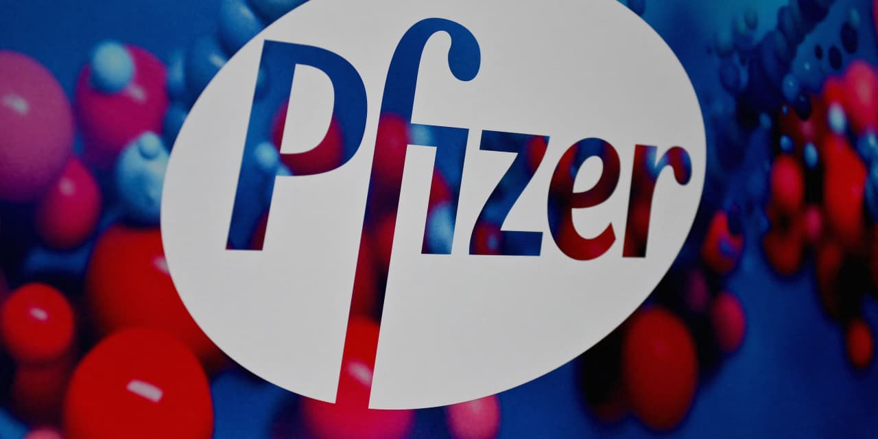 Pfizer’s stock fell after mixed response to weight-loss data for drug ...