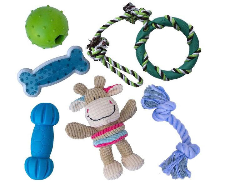 Here’s why your dog has a favorite toy