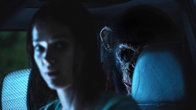 How to watch the chimp horror movie Primate at home