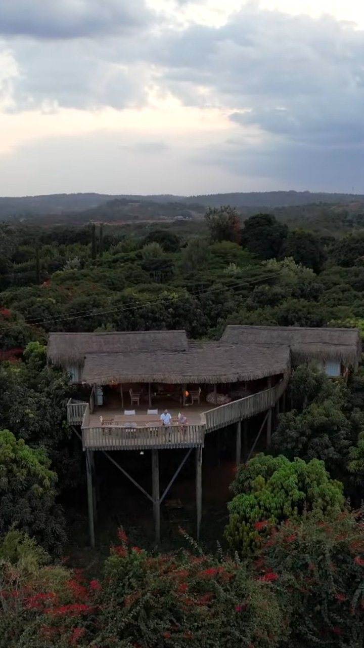 Unique treehouse experience in Kenya with a view