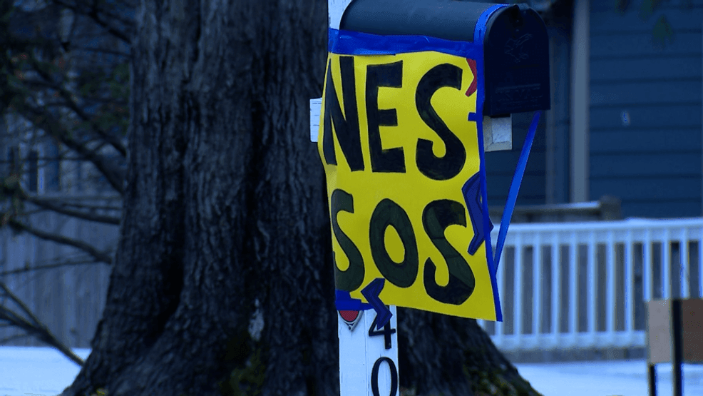 NES board changes course, orders independent review of storm response