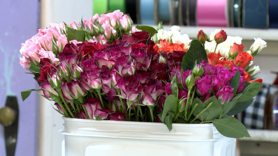 Florists flourish as Valentine’s Day quickly approaches