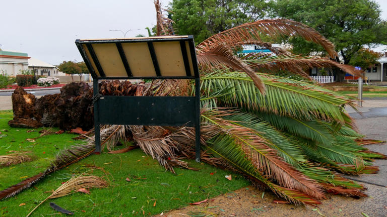 Ex-tropical cyclone Mitchell expected to batter the Gascoyne region as ...