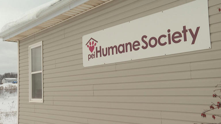 PEI Humane Society welcoming donations after seizure of 43 dogs from ...
