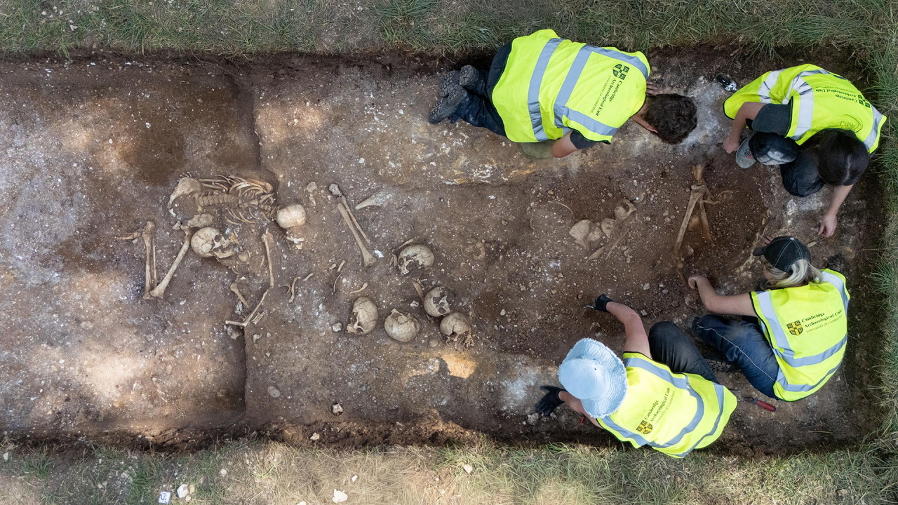 Viking Age mass grave holds mysterious mix of dismembered human remains ...