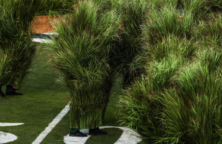 What it was like to be a bush at Bad Bunny’s Super Bowl performance