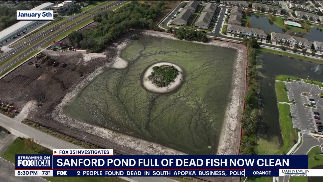 Sanford pond cleanup removes dead fish and turtles