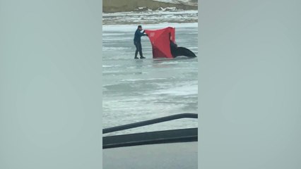 Funny fails