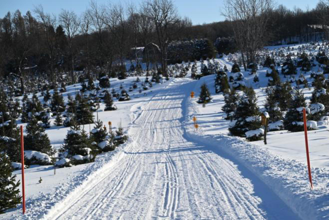 17-year-old killed in Wyoming County snowmobile crash, State Police say