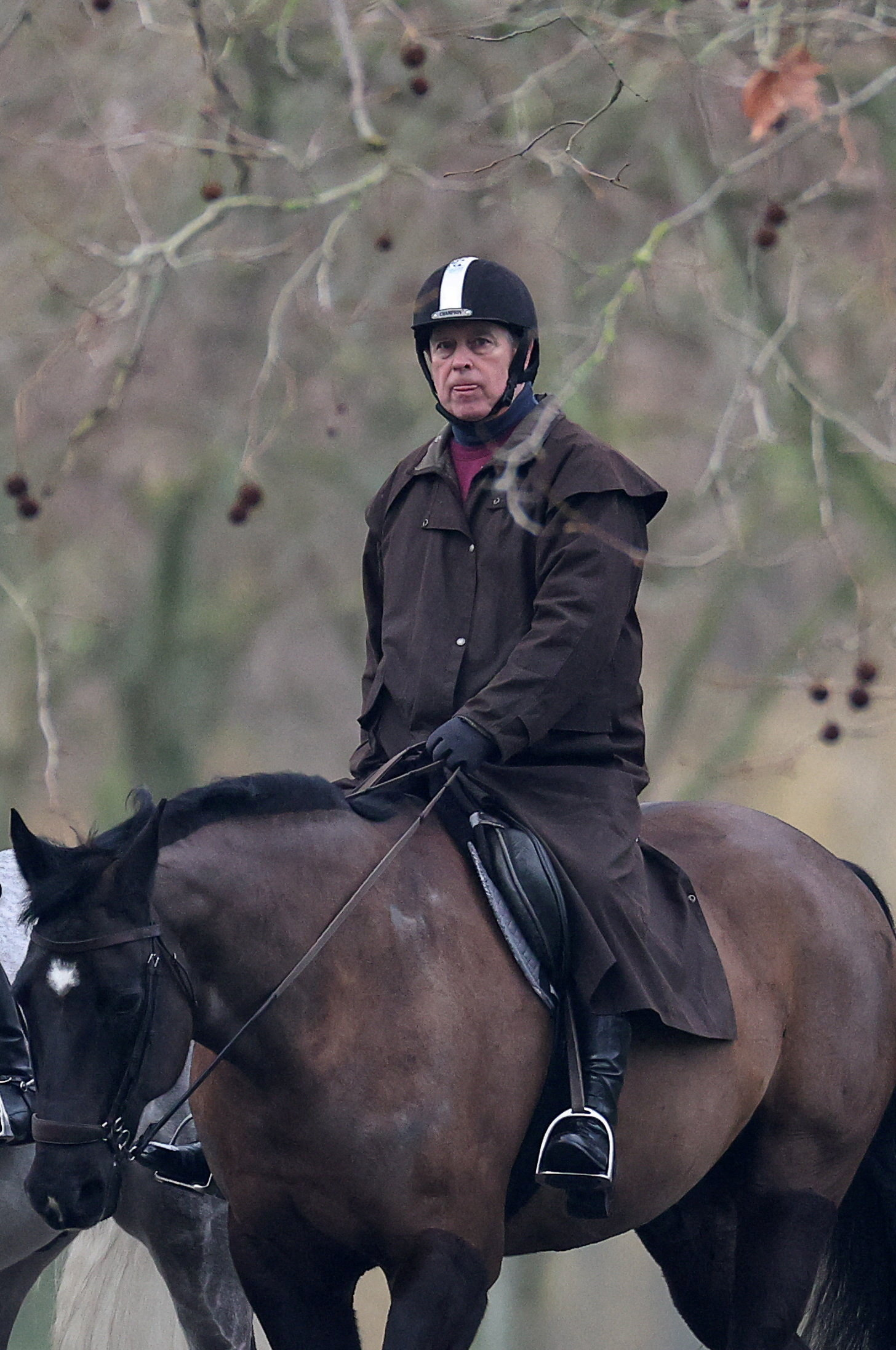 King 'ready to support' police looking at Andrew claims