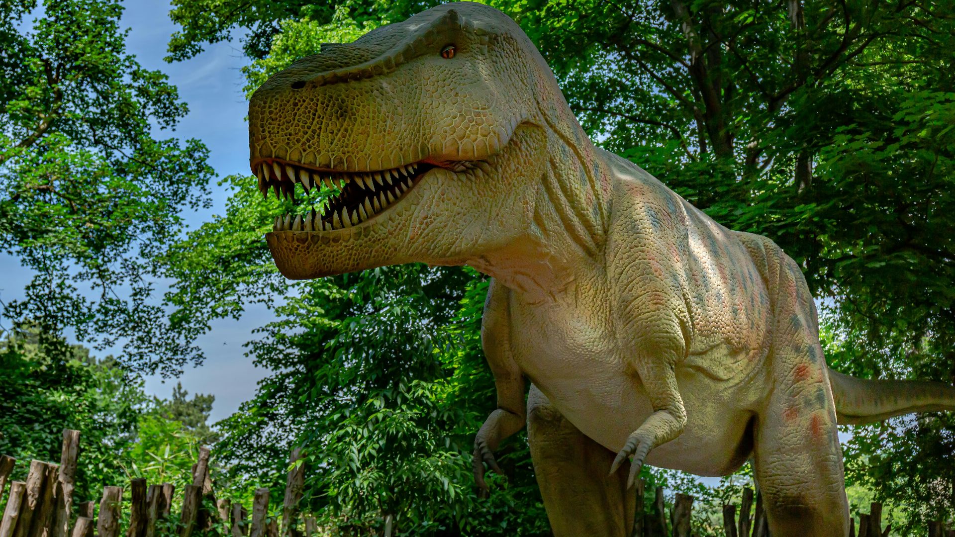 King of the dinosaurs: 20 incredible facts about the T-Rex, one of ...