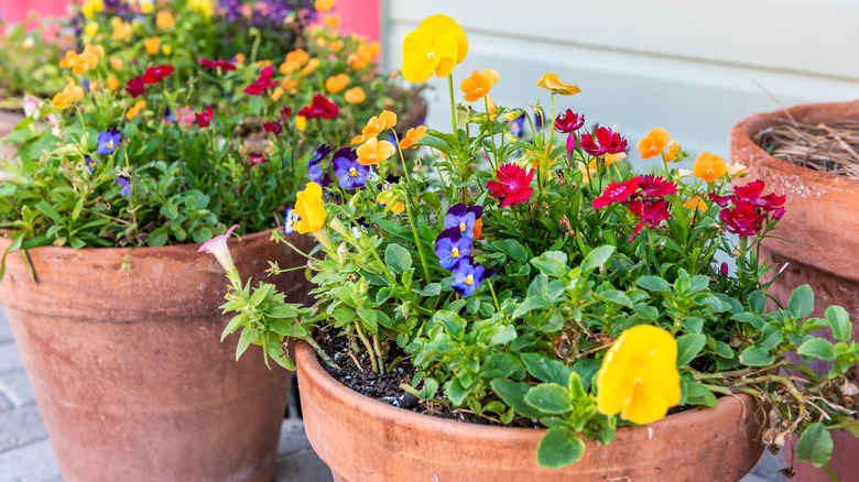 Move large planters with ease using this genius filler trick