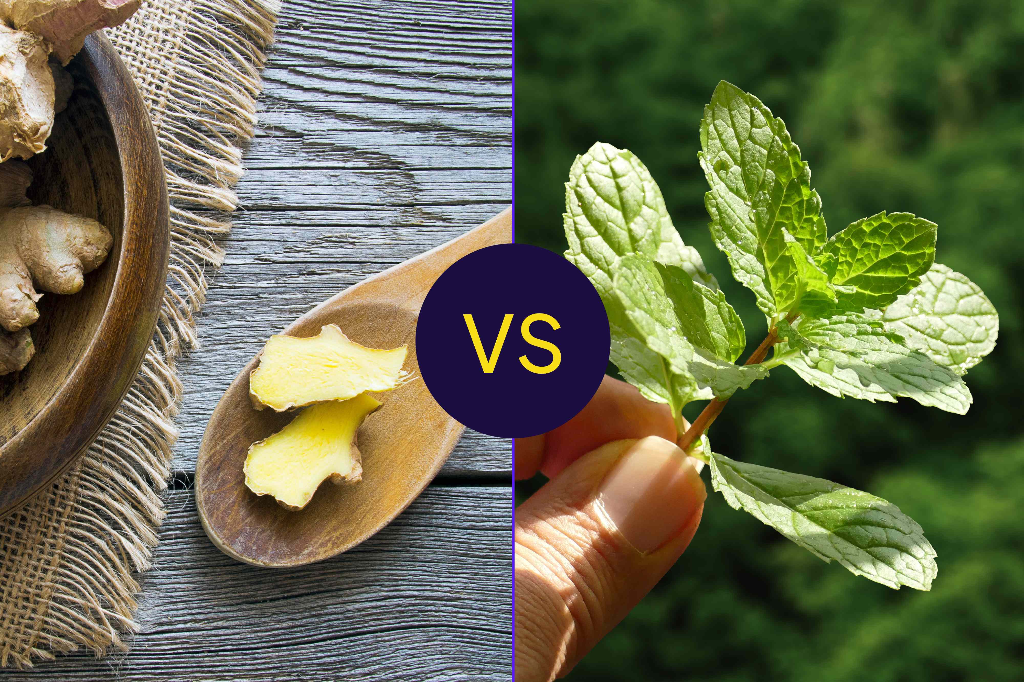 Peppermint vs. ginger: Which is better for nausea relief?