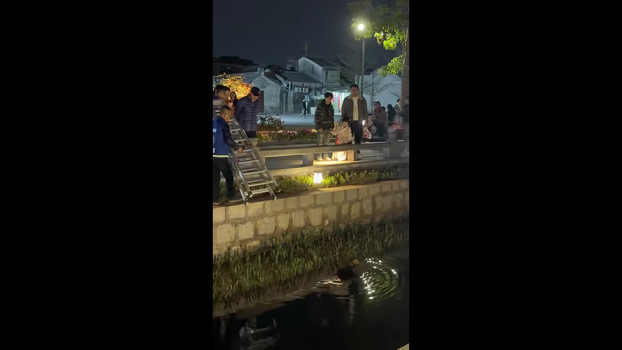Kitten rescued from river using ladder in Guangzhou, China