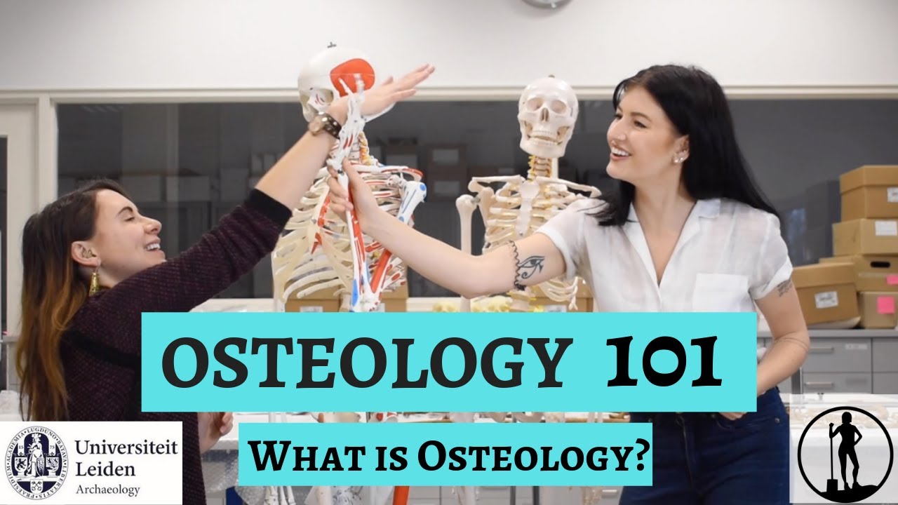 What is osteology - reading the human skeleton