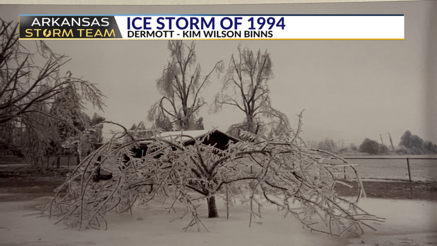 Arkansas Storm Team blog: A look back on the February 1994 ice storm