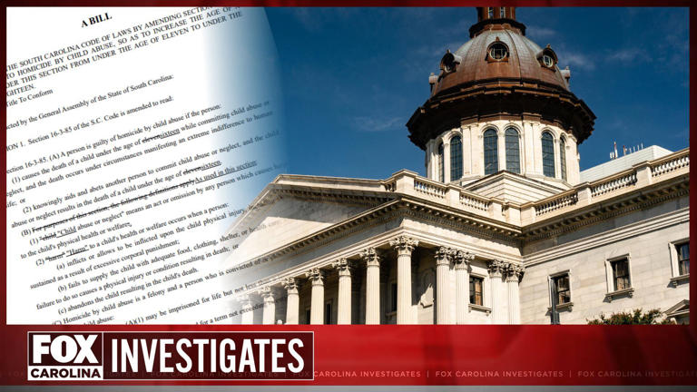 South Carolina homicide by child abuse bill advances with unanimous votes