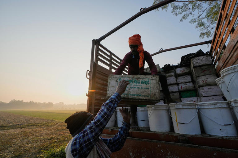 India's migratory beekeepers and their hives follow the flowers to make ...
