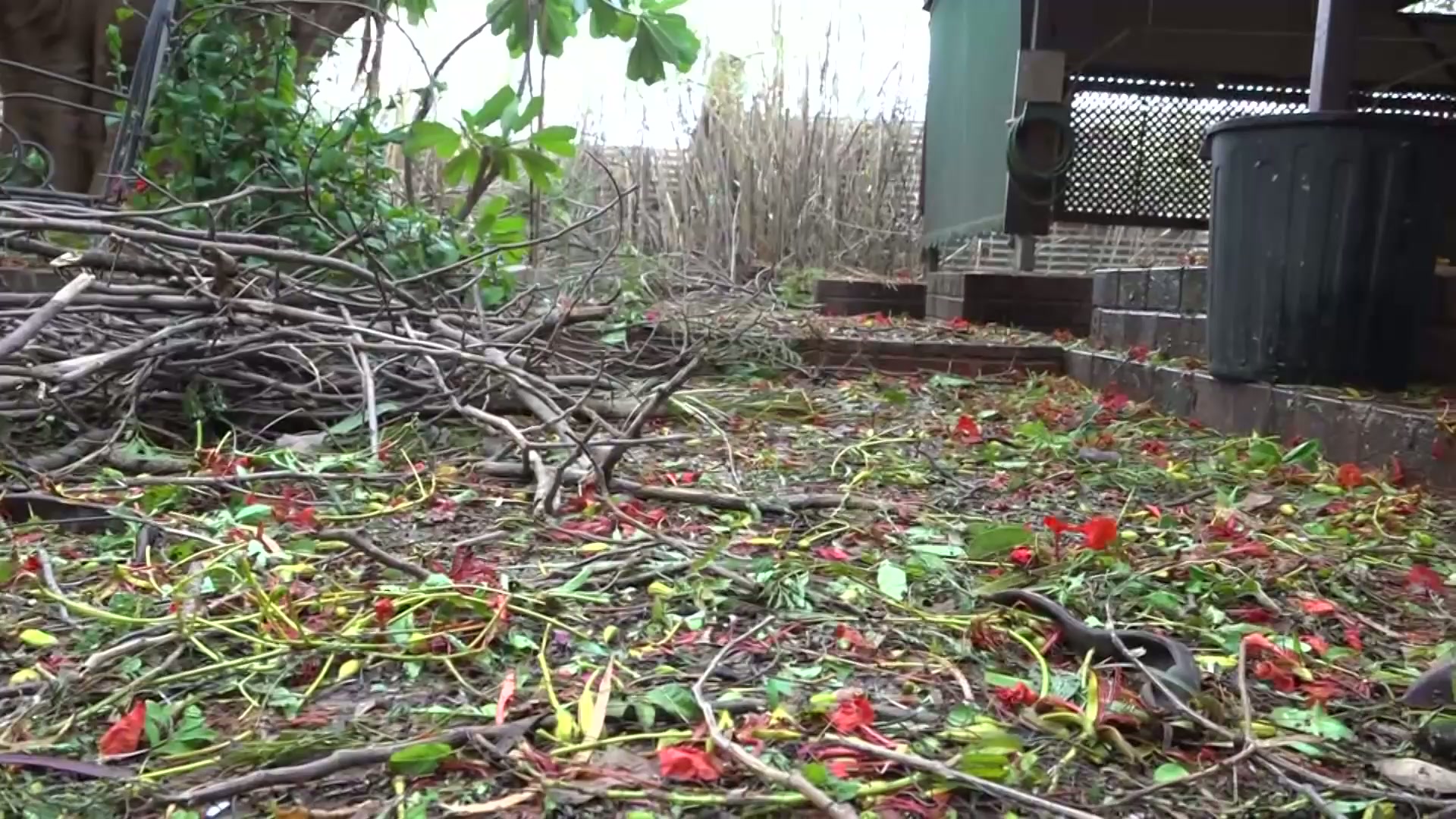 Residents in WA’s north assess the damage of Tropical Cyclone Mitchell