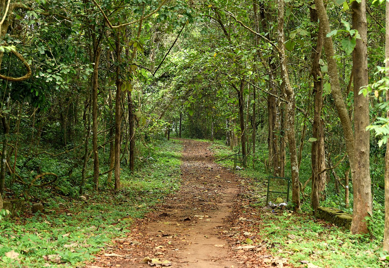 Goa goes green, state marks 6.72 crore square metres of land as 'eco ...