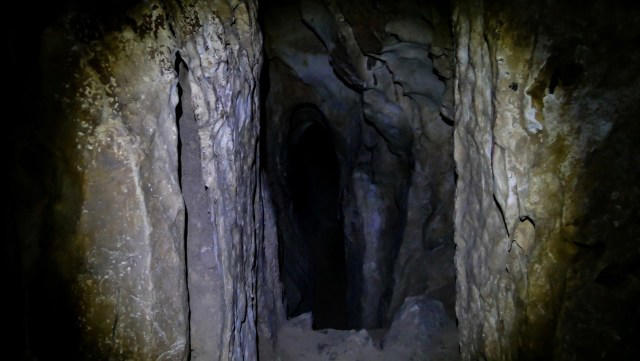 Researchers investigate mummified creatures discovered deep in caves of ...