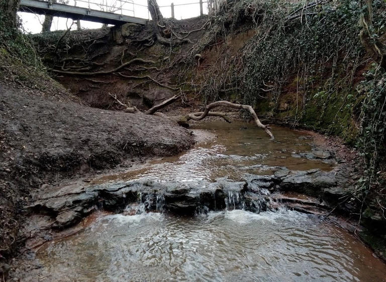 ‘Hidden’ Nottinghamshire waterfall that ‘hardly anyone knows about’ is ...