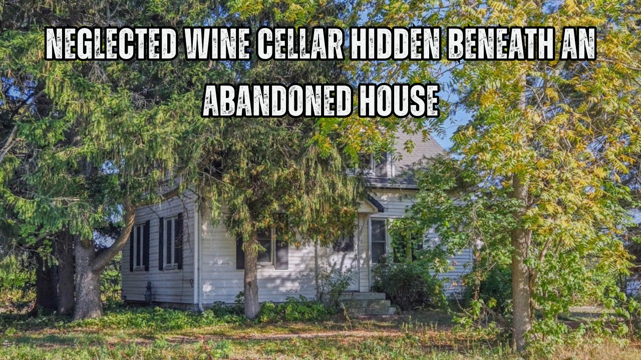 Neglected wine cellar hidden beneath an abandoned house